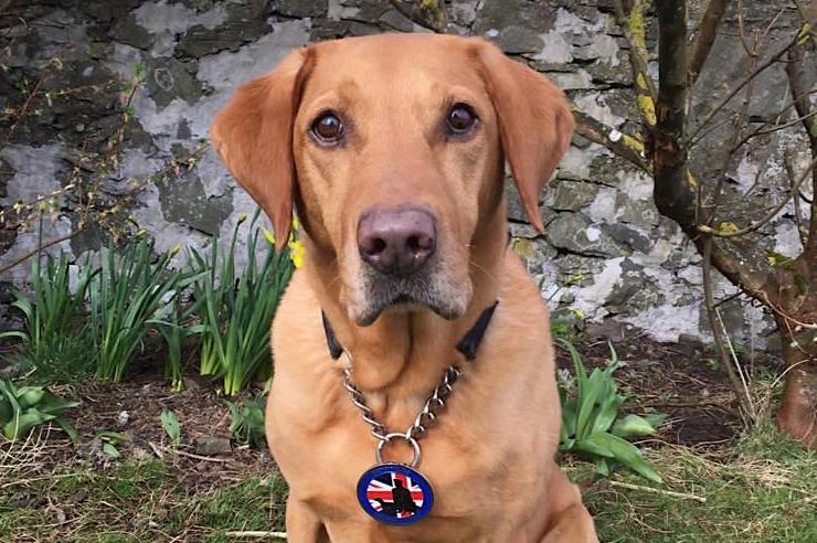 Blade receives medal for services to the community | Shetland News