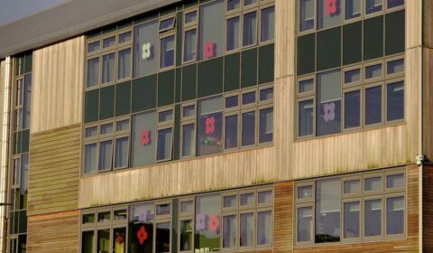 Brae poppy display catches the eye | Shetland News