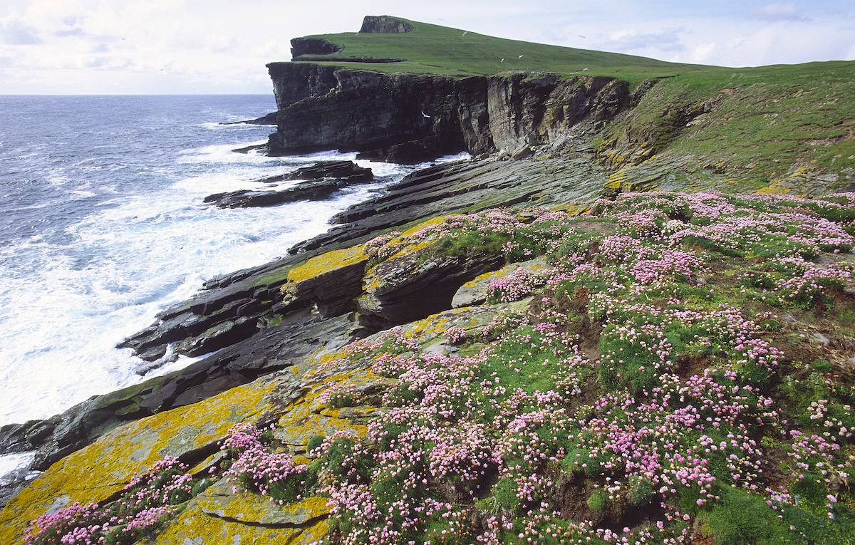 Noss open day cancelled due to poor forecast | Shetland News