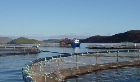 UHI Shetland staff member named Unsung Hero at Aquaculture Awards ...