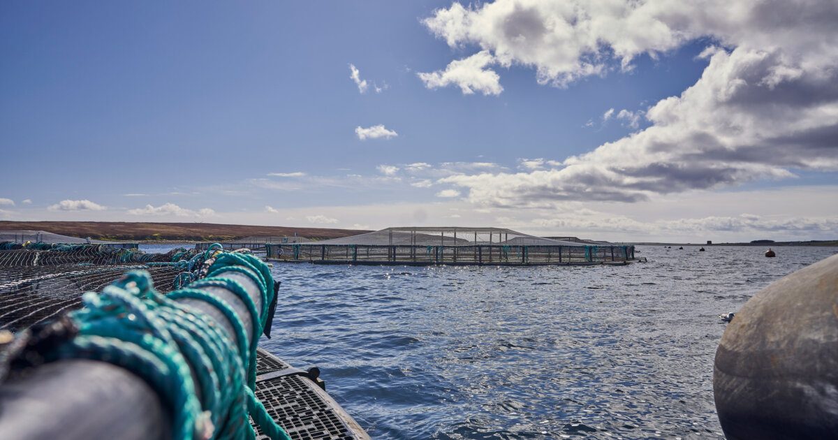 Salmon farm off Vementry which drew fishing objections is approved by ...