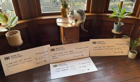 Tommy’s cat calendar claws in £4k for charity | Shetland News