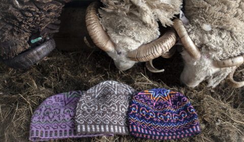 Wool week highlights ‘The Shetland Ways’ at opening ceremony | Shetland ...