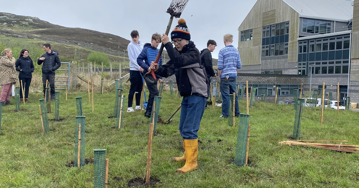 Tree planting help on offer from the amenity trust | Shetland News