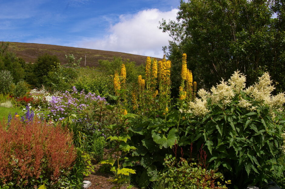 Lea Gardens on TV | Shetland News