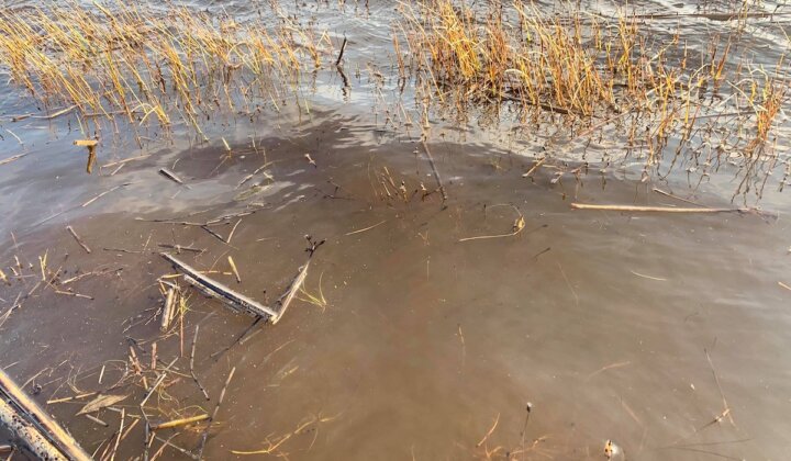 New loch inspections find no evidence of sediment pollution | Shetland News