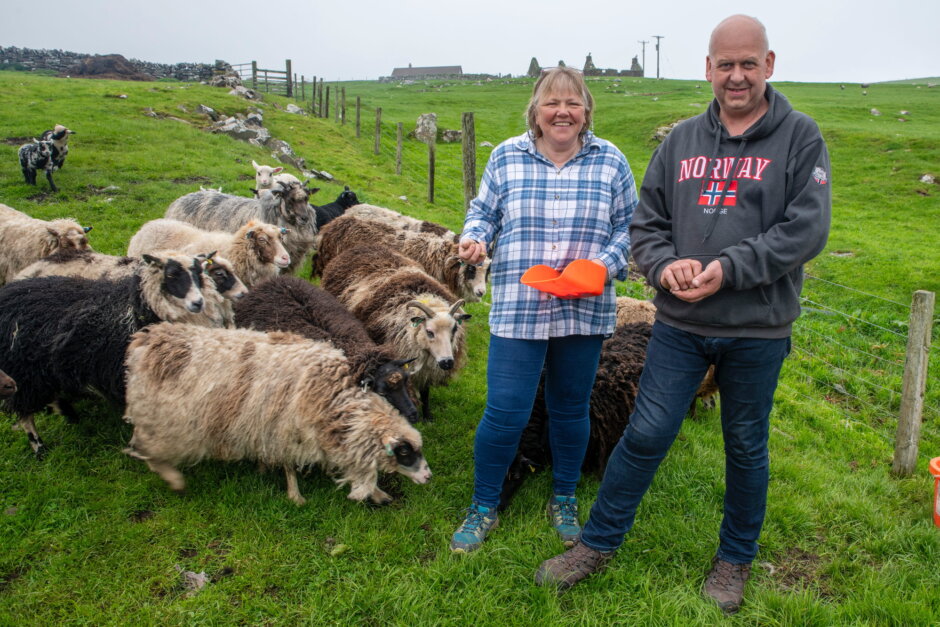 Sunshine Shetland croft hopes to brighten summer days in Brindister ...
